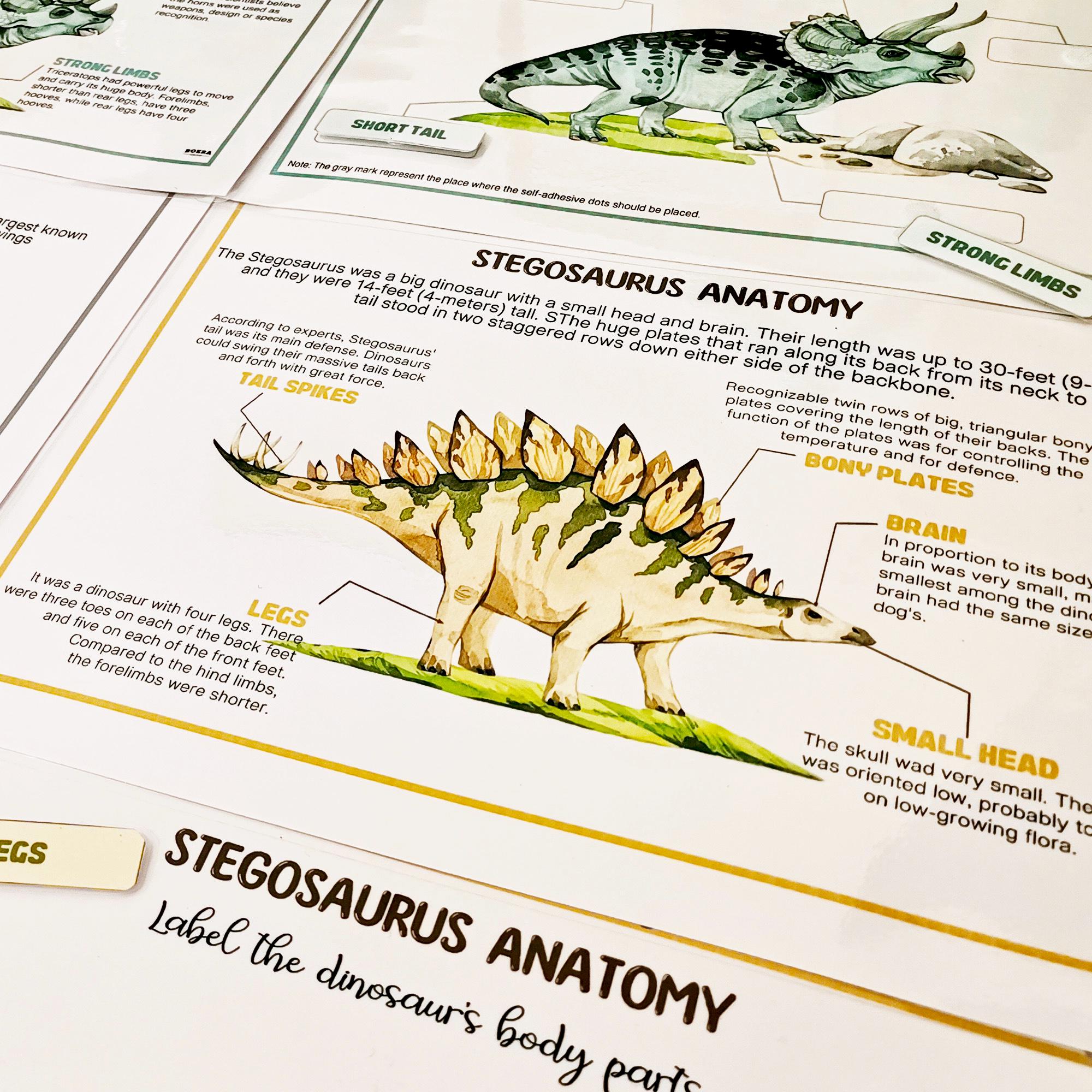 Dinosaurs Anatomy, Labeling Activity, Homeschool, Dinosaur Facts ...