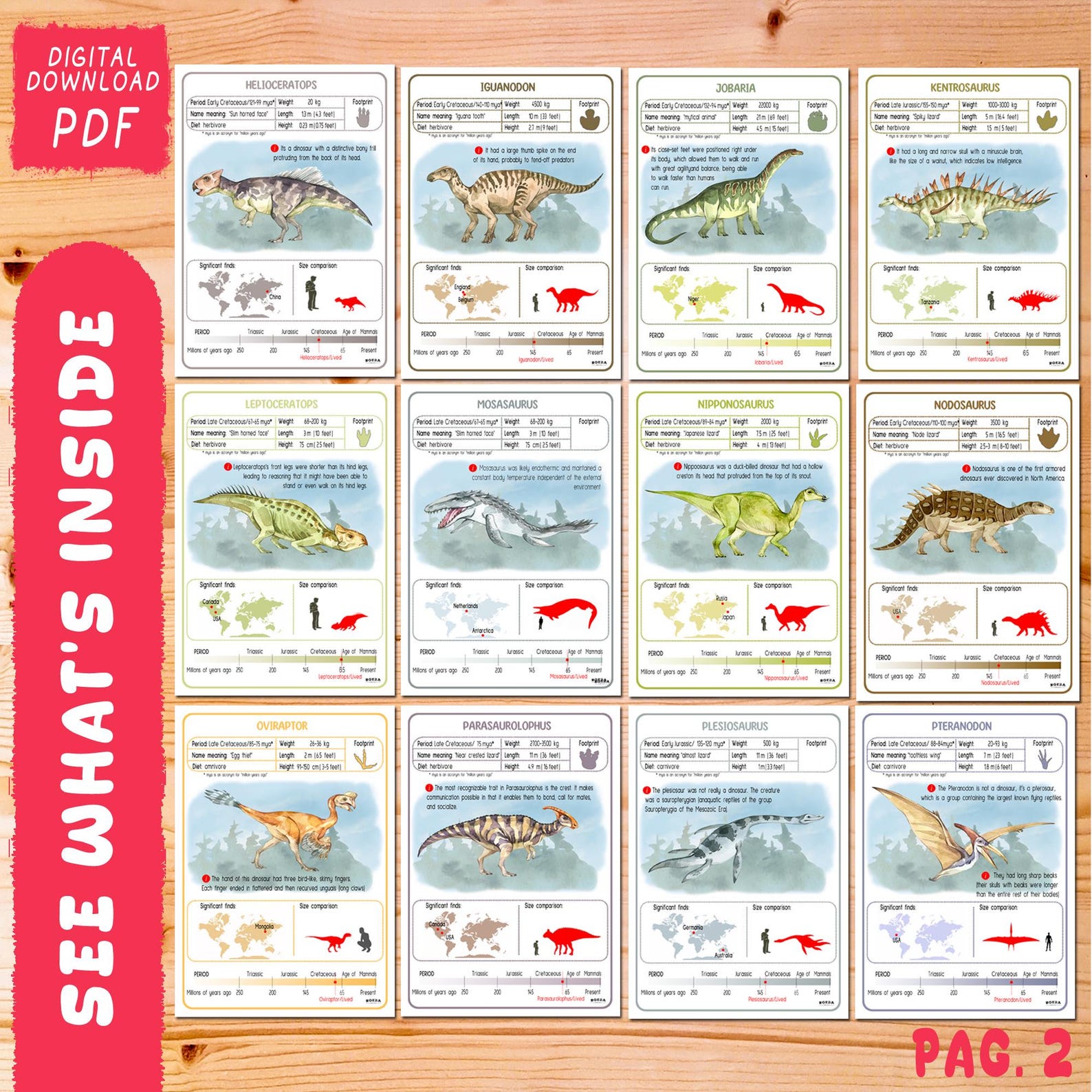 Dinosaurs Fact Cards Printable, Educational Learning Resources ...