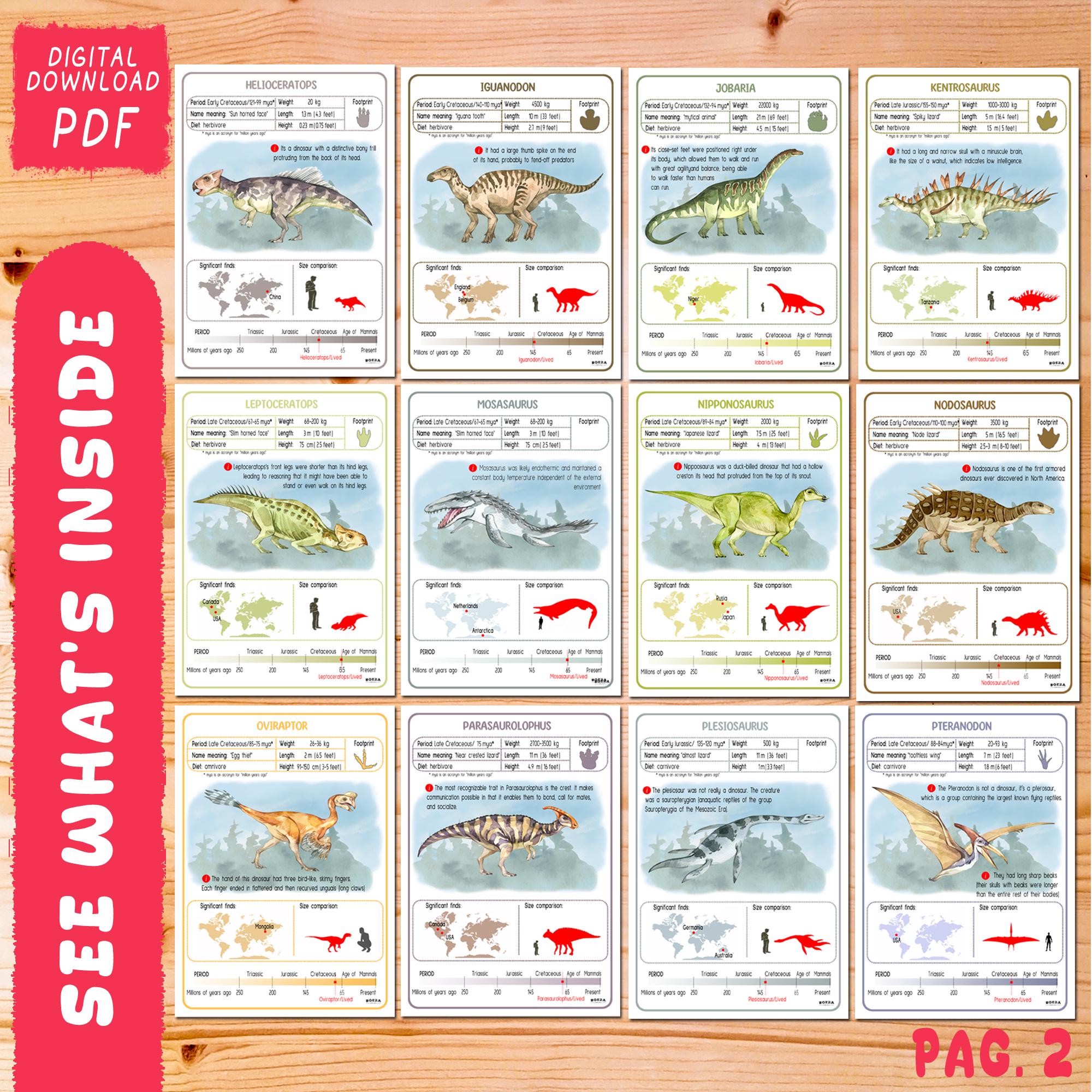 Dinosaurs Fact Cards Printable, Educational Learning Resources ...
