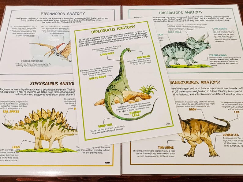 Dinosaurs Anatomy, Labeling Activity, Homeschool, Dinosaur Facts ...