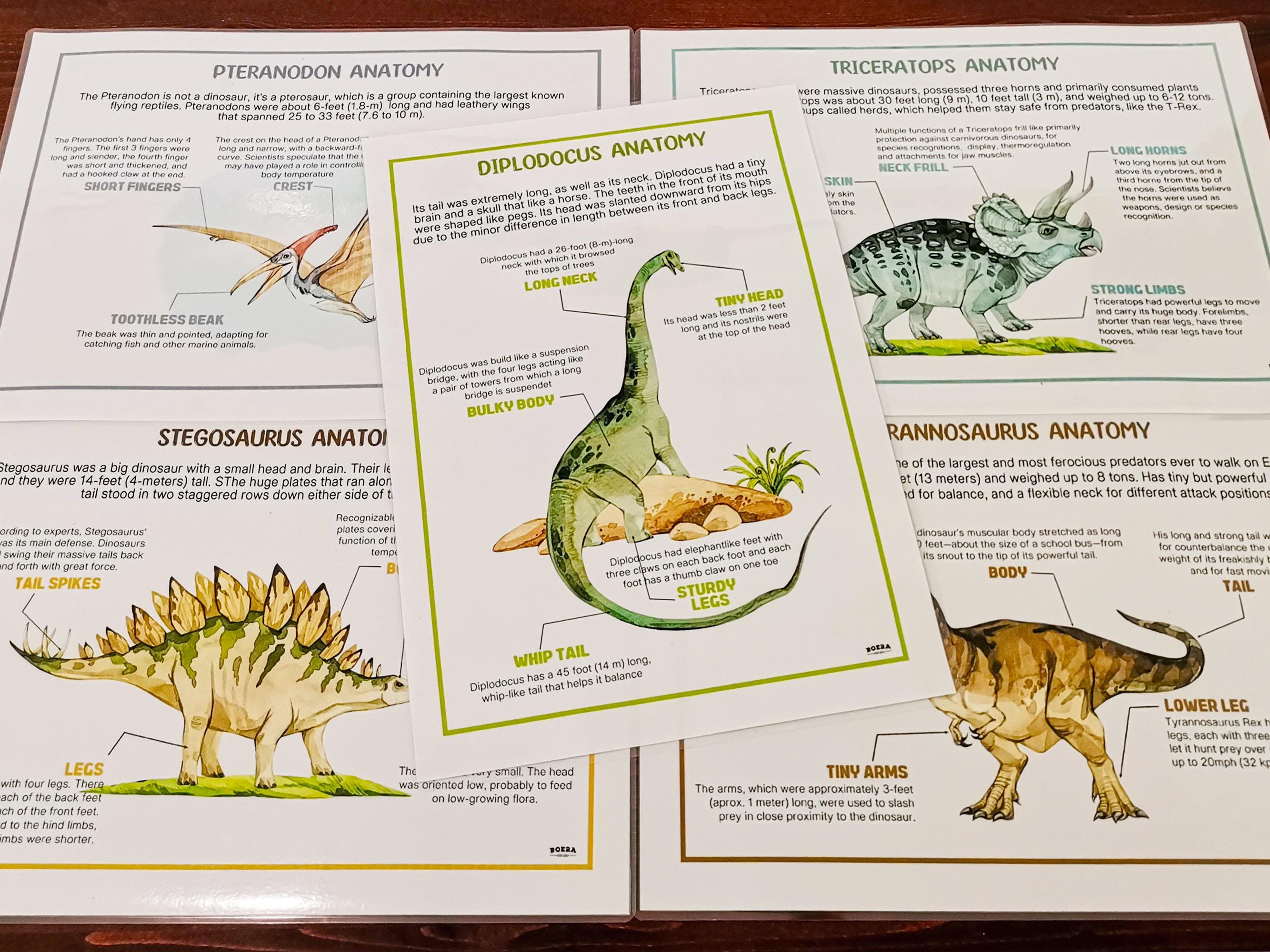 Dinosaurs Anatomy, Labeling Activity, Homeschool, Dinosaur Facts ...