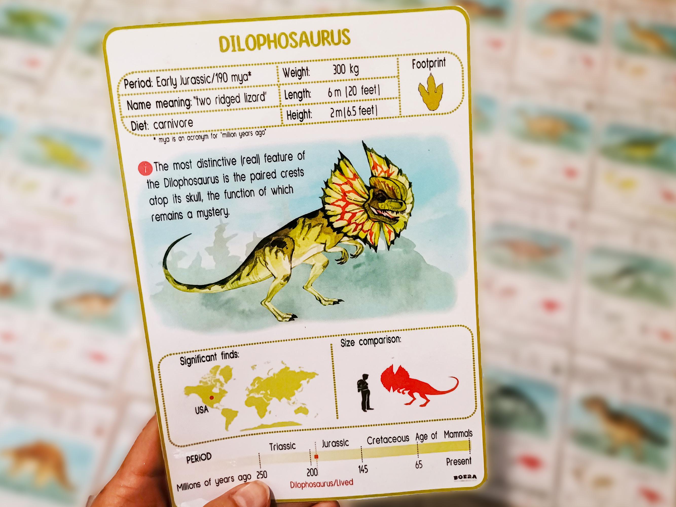 Dinosaur Fact Cards Printable, Educational Learning Resources ...