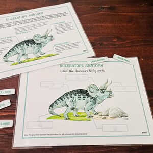 Dinosaurs Anatomy, Labeling Activity, Homeschool, Dinosaur Facts ...