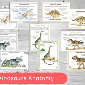 Dinosaurs Anatomy, Labeling Activity, Homeschool, Dinosaur Facts ...