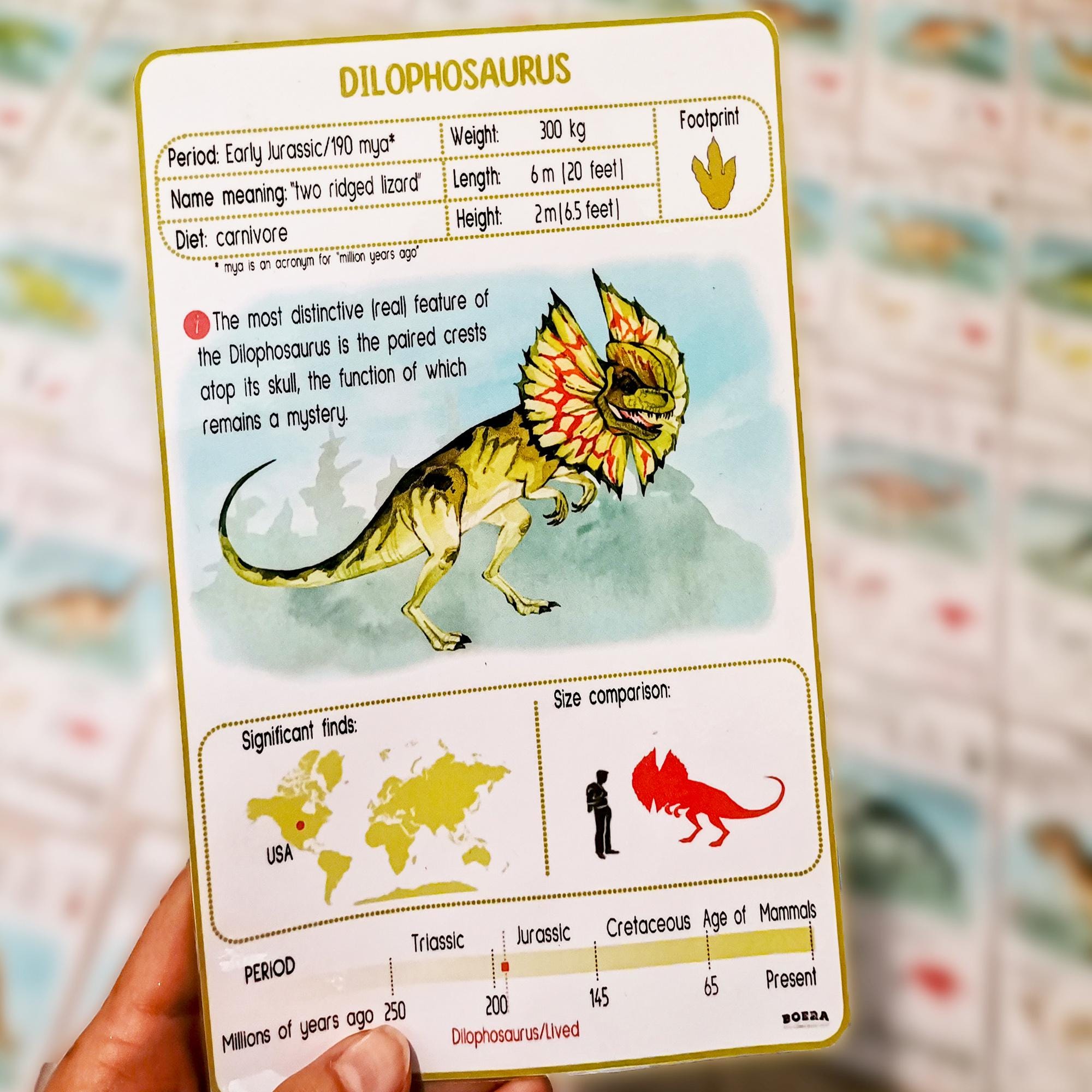 Dinosaurs Fact Cards Printable, Educational Learning Resources ...