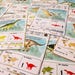 Dinosaur Fact Cards Printable, Educational Learning Resources ...