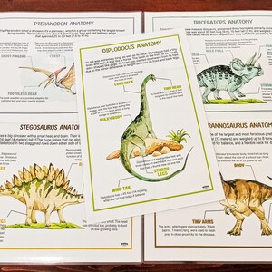 Dinosaurs Anatomy, Labeling Activity, Homeschool, Dinosaur Facts ...
