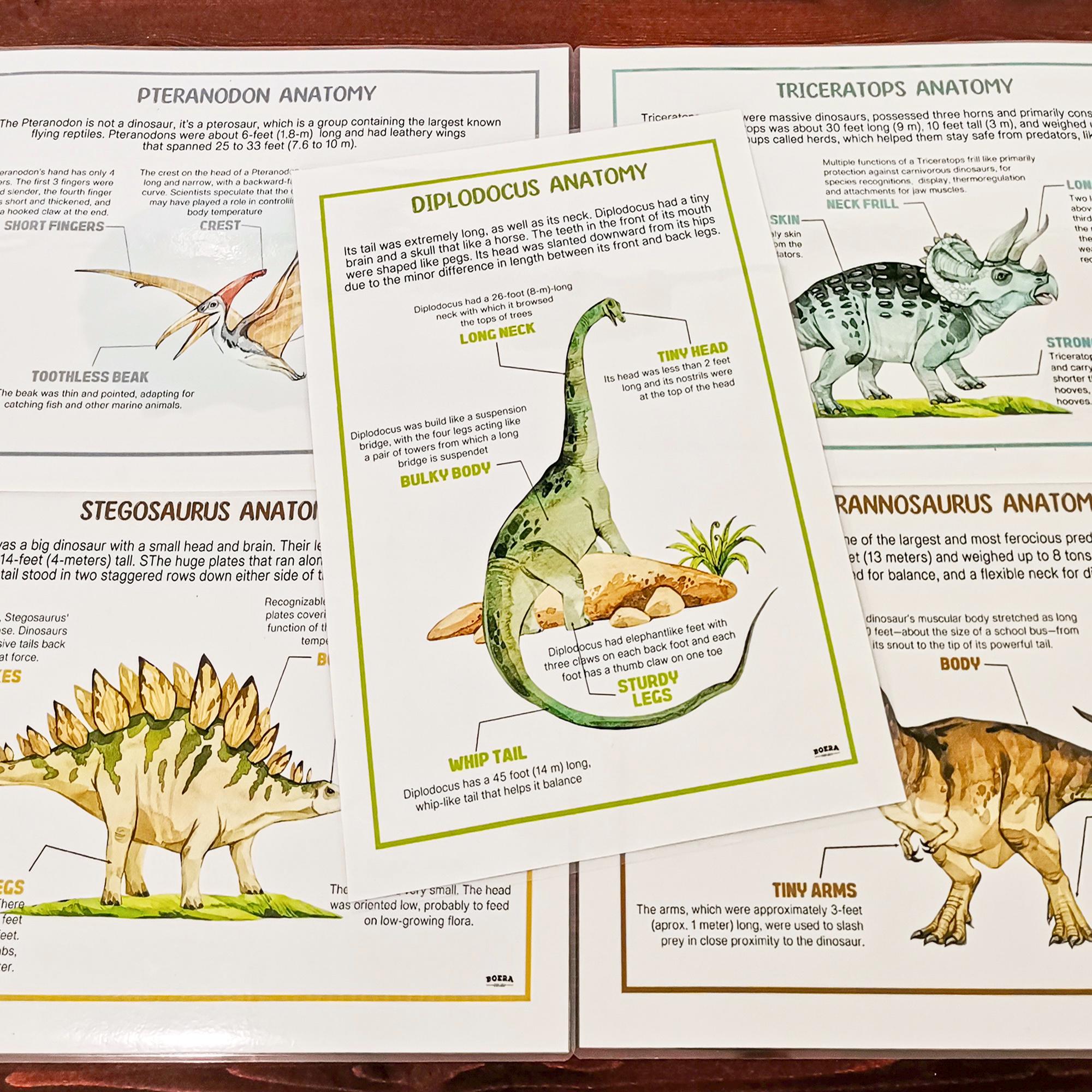 Dinosaurs Anatomy, Labeling Activity, Homeschool, Dinosaur Facts ...