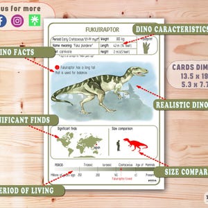 Dinosaur Fact Cards Printable, Educational Learning Resources ...