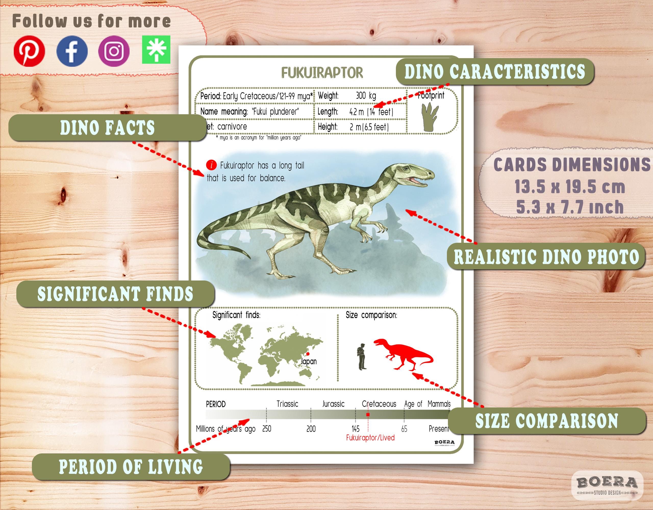 Dinosaur Fact Cards Printable, Educational Learning Resources ...