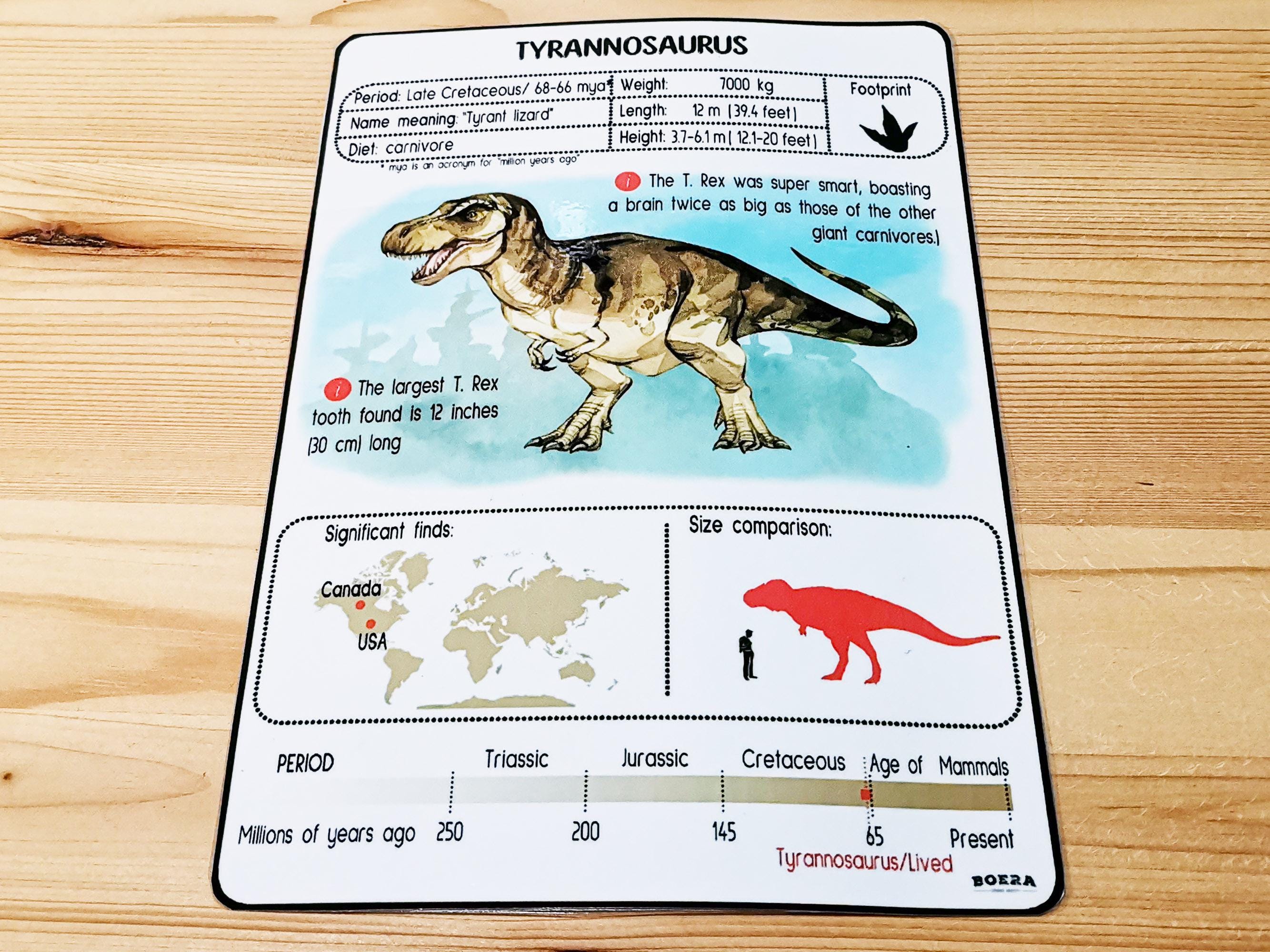 Dinosaur Fact Cards Printable, Educational Learning Resources ...