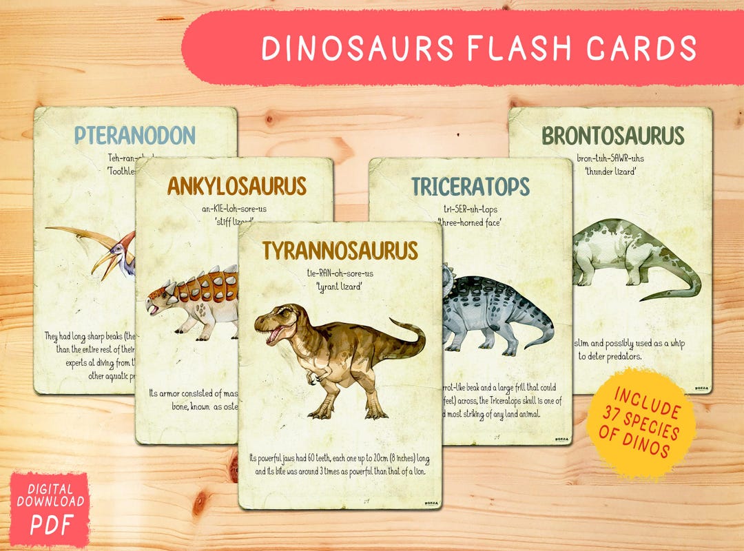 Dino Flashcards, Montessori Materials, Homeschool Printable Resource ...