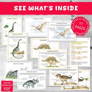 Dinosaurs Anatomy, Labeling Activity, Homeschool, Dinosaur Facts ...