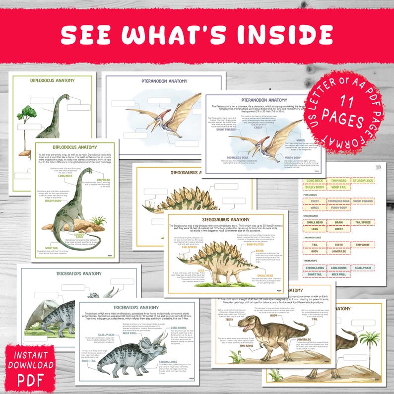 Dinosaurs Anatomy, Labeling Activity, Homeschool, Dinosaur Facts ...