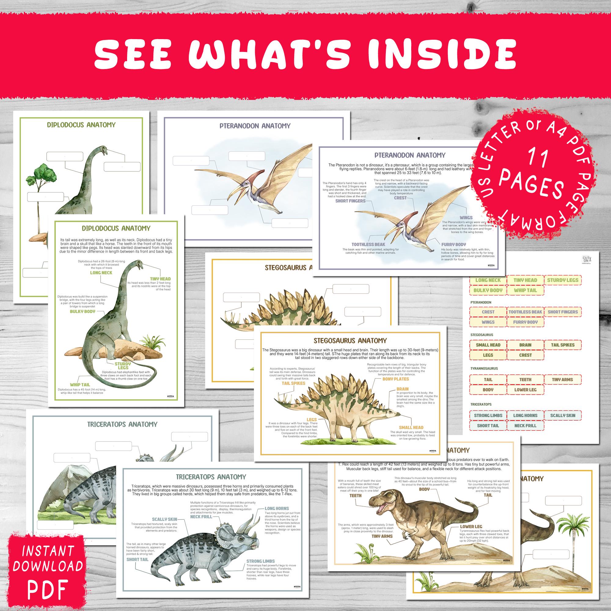 Dinosaurs Anatomy, Labeling Activity, Homeschool, Dinosaur Facts ...