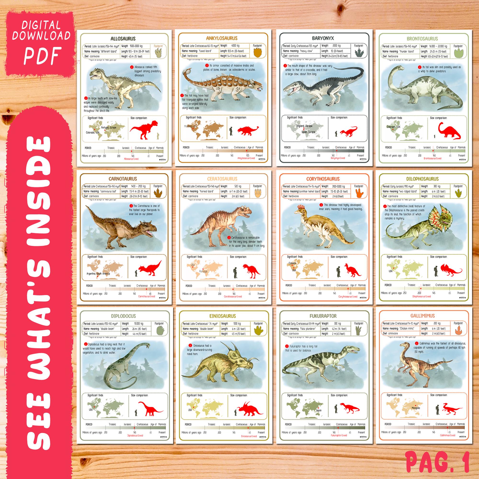 Dinosaurs Fact Cards Printable, Educational Learning Resources ...