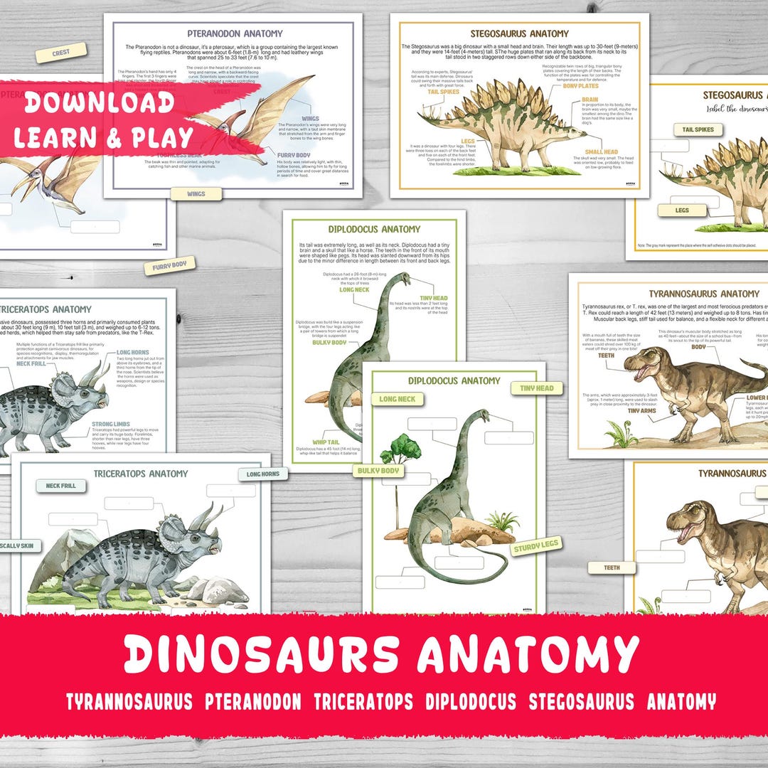 Dinosaurs Anatomy, Labeling Activity, Homeschool, Dinosaur Facts ...
