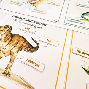 Dinosaurs Anatomy, Labeling Activity, Homeschool, Dinosaur Facts ...