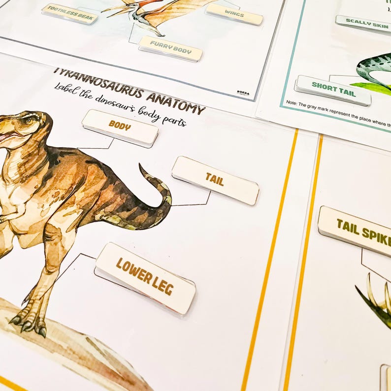 Dinosaurs Anatomy, Labeling Activity, Homeschool, Dinosaur Facts ...