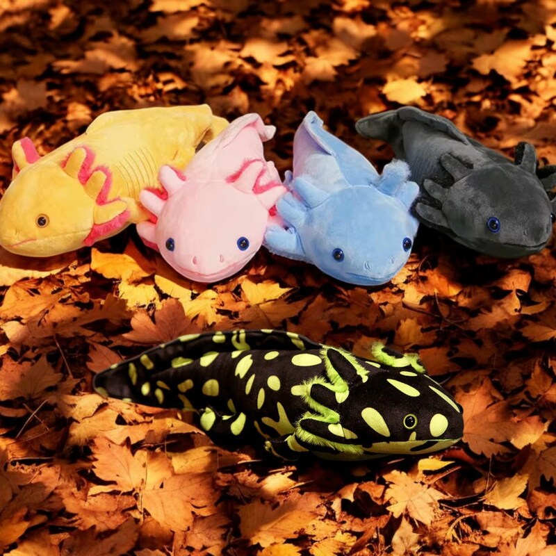 Axolotl Stuffy - Etsy