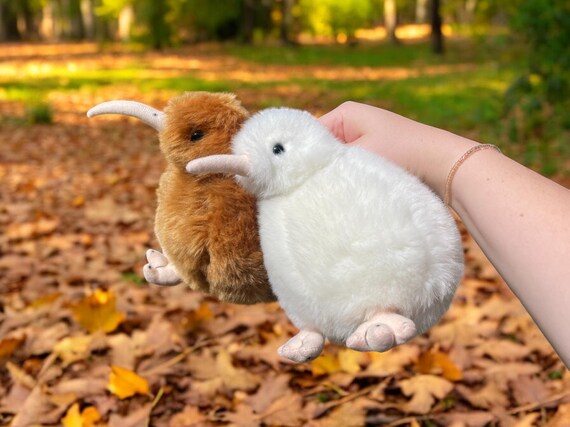 Plush kiwi store