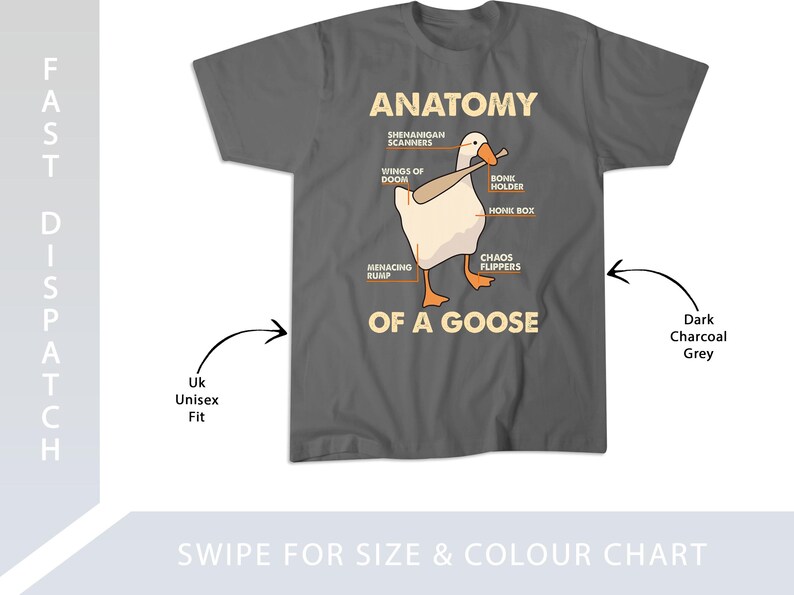 Anatomy of A Goose Funny Meme Animal Lover Goose Honk Bonk T-shirt, Sweatshirt, Hoodie, Tote Bag ...