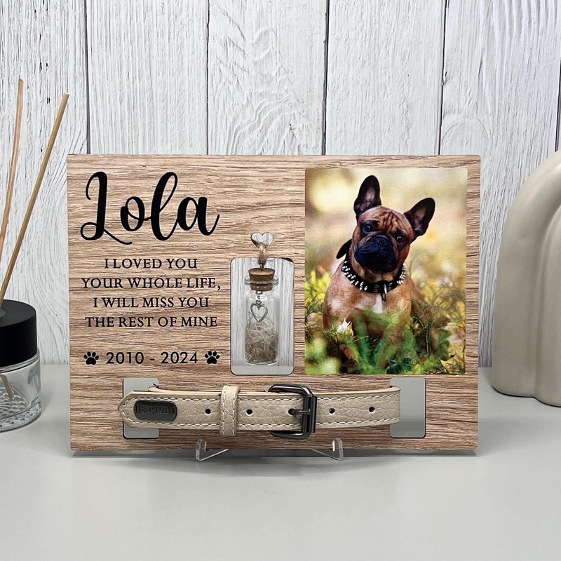 Resin Pet Memorial Gifts - 60+ Gift Ideas for 2026