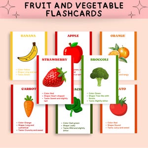 400+ Preschool Flashcards, Montessori Flashcard Bundle, Printable ...