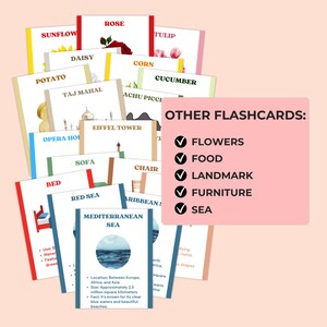 400+ Preschool Flashcards, Montessori Flashcard Bundle, Printable ...