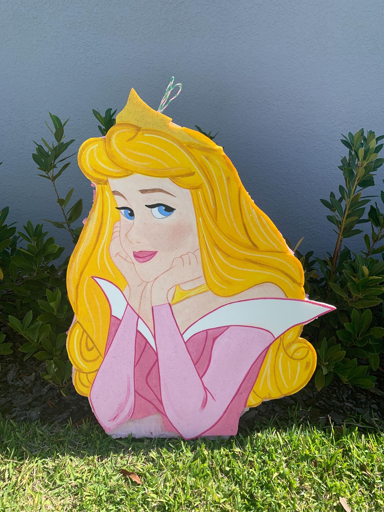 Aurora Princess Pinata, Crown Aurora , Aurora Party Princes Pinata ...