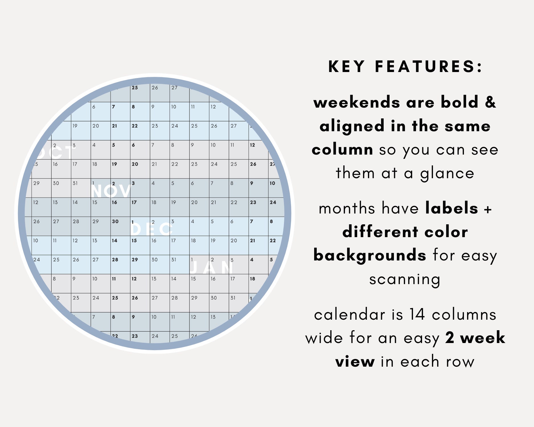 2025 Full Year Calendar 2 Week View Year Planner, Digital Download ...