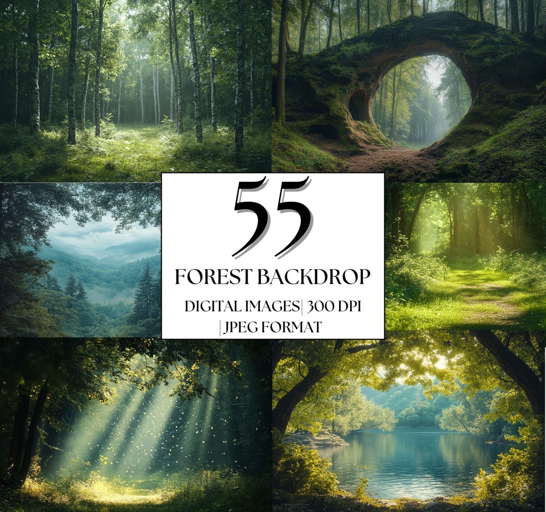 55 Summer Forest Digital Backdrop, Forest Backdrop, Forest Path ...