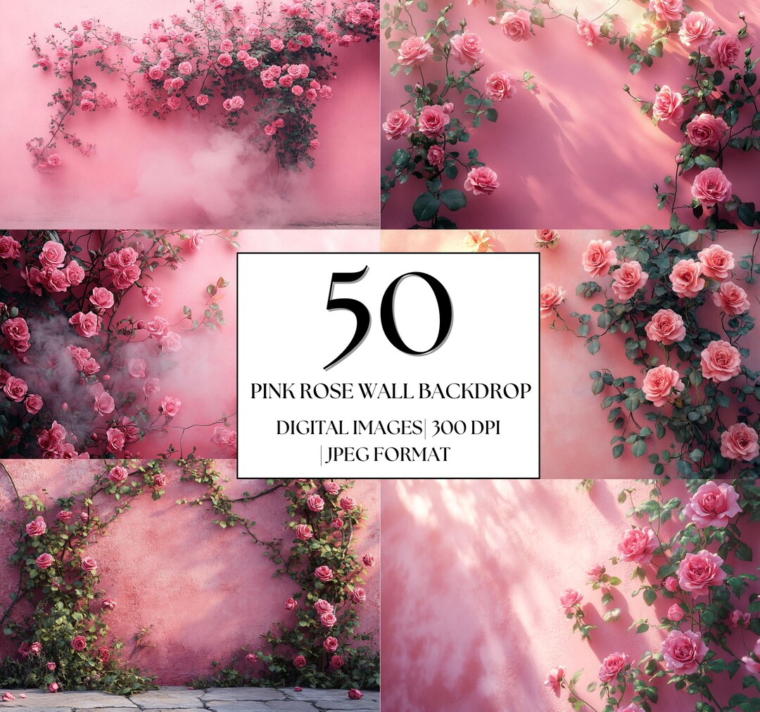 Pink Rose Wall Digital Backdrops, Photography Overlays (50 JPG) - Etsy