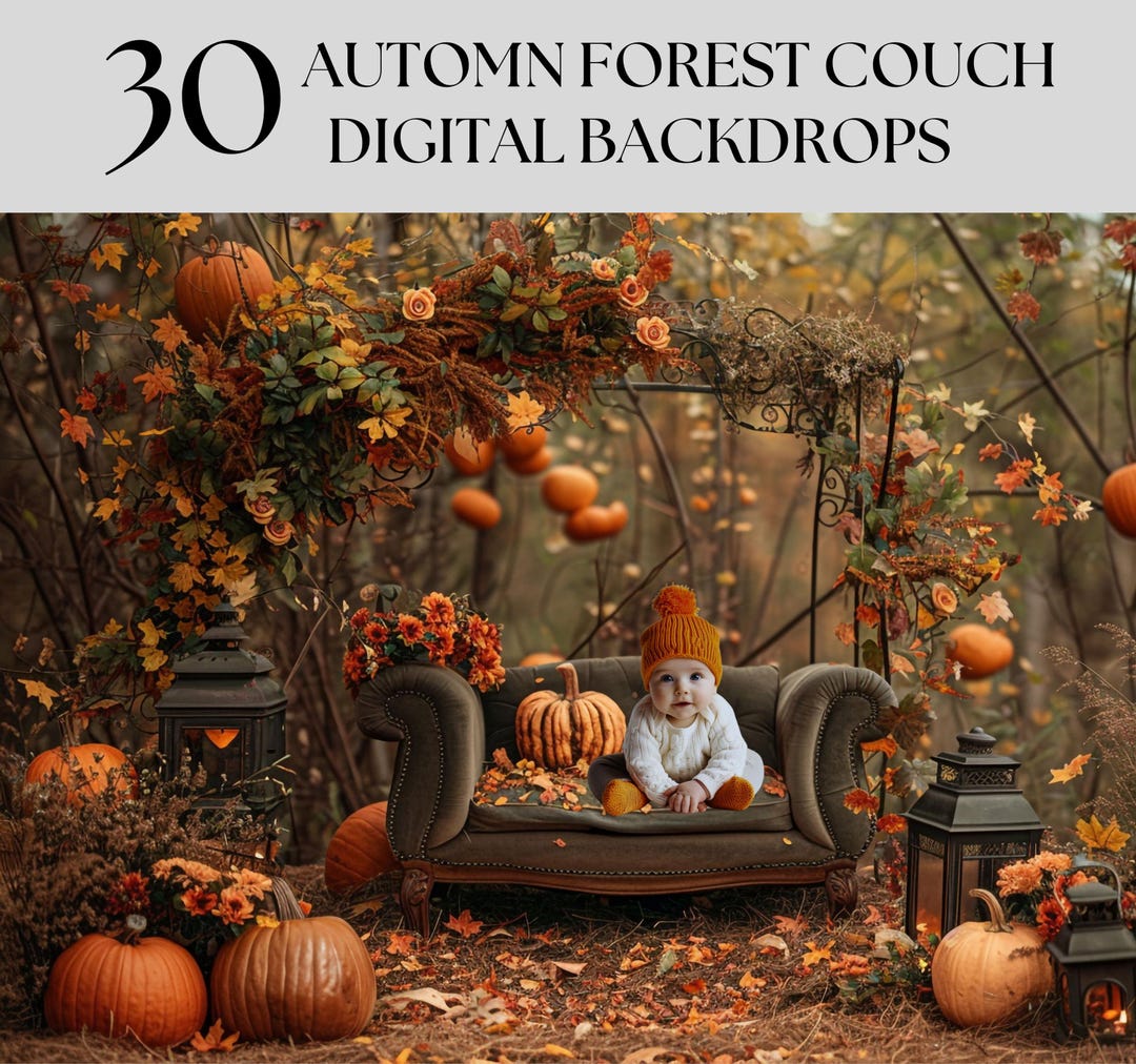 30 Fall Sofa Digital Backdrop Bundle, Autumn Woodland Forest Background ...
