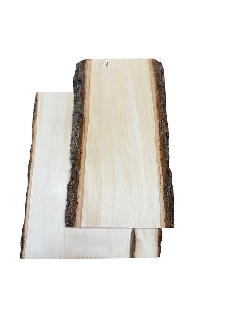 Basswood Live Edge Slab: Kiln Dried Craft Wood Blank - Etsy