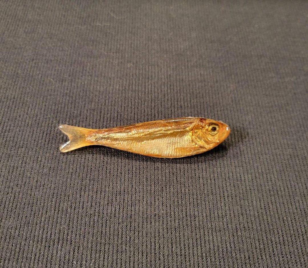 Vintage 1981 Ken Loeber Pop Art Acrylic Encased Minnow Pin Brooch - Etsy