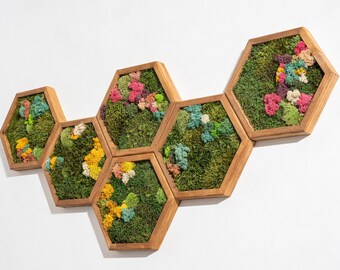 Hexagon Moss Wall Art Moss Wall Decor Preserved Moss Art Framed Moss ...