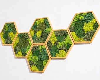 Hexagon Moss Wall Art Moss Wall Decor Preserved Moss Art Framed Moss ...