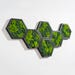 Hexagon Moss Wall Art Moss Wall Decor Preserved Moss Art Framed Moss ...