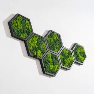Hexagon Moss Wall Art Moss Wall Decor Preserved Moss Art Framed Moss Wall Sets Moss No ...