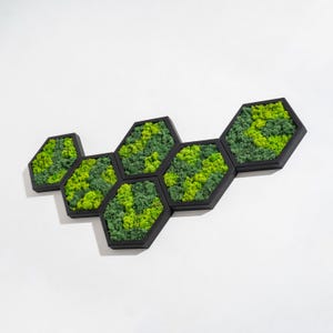 Hexagon Moss Wall Art Moss Wall Decor Preserved Moss Art Framed Moss ...