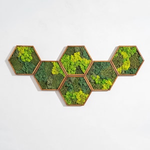 Hexagon Moss Wall Art Moss Wall Decor Preserved Moss Art Framed Moss ...