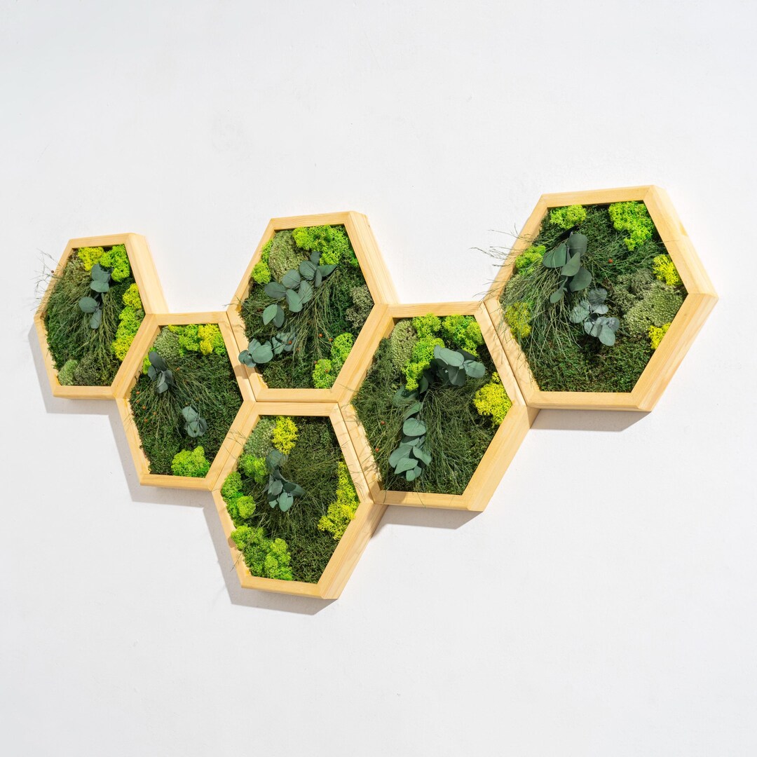 Hexagon Moss Wall Art Moss Wall Decor Preserved Moss Art Framed Moss ...