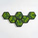 Hexagon Moss Wall Art Moss Wall Decor Preserved Moss Art Framed Moss ...