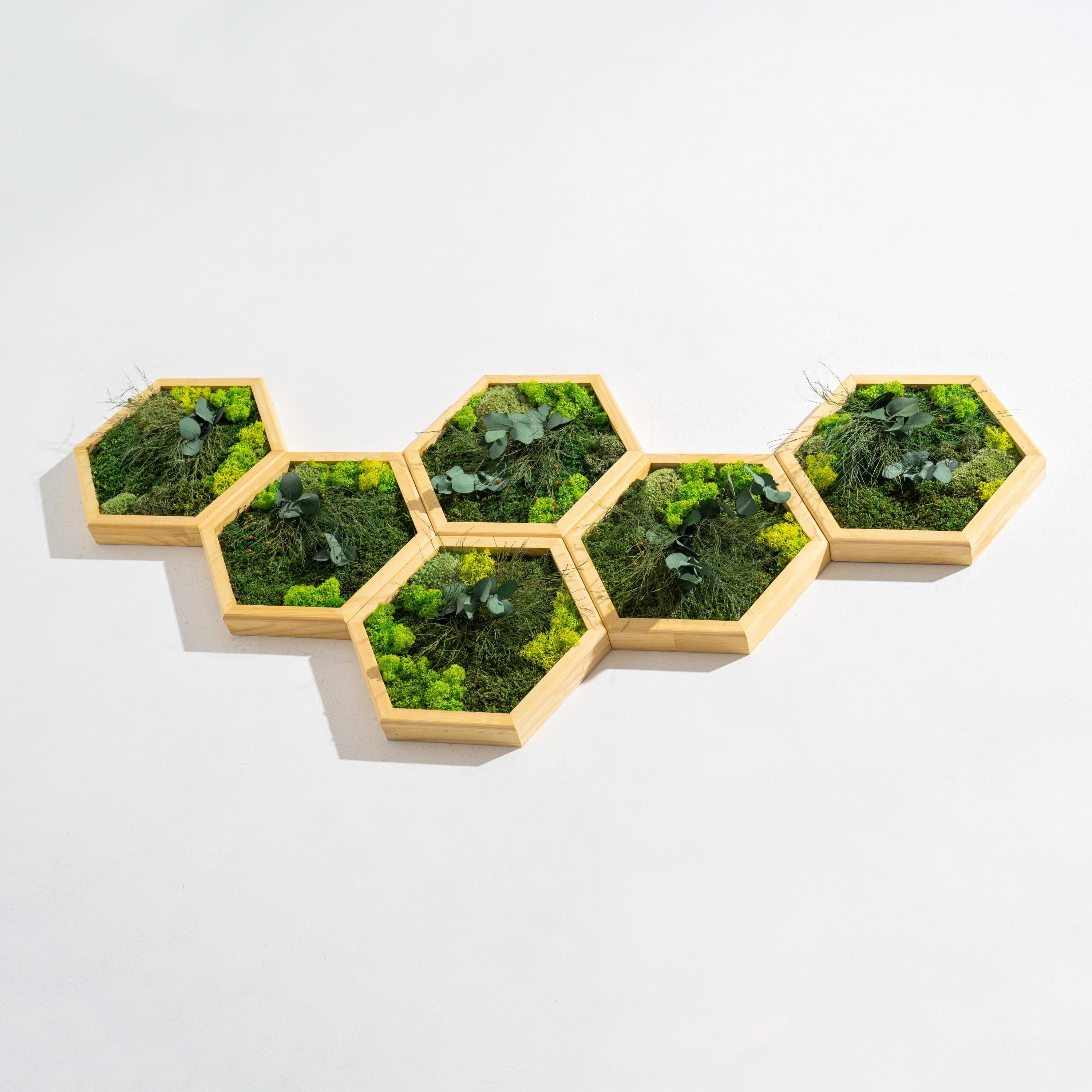 Hexagon Moss Wall Art Moss Wall Decor Preserved Moss Art Framed Moss ...