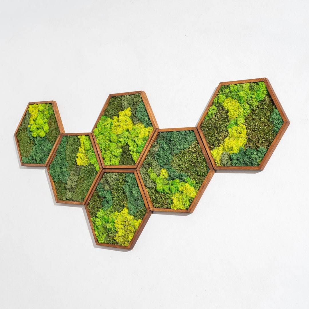 Hexagon Moss Wall Art Moss Wall Decor Preserved Moss Art Framed Moss ...