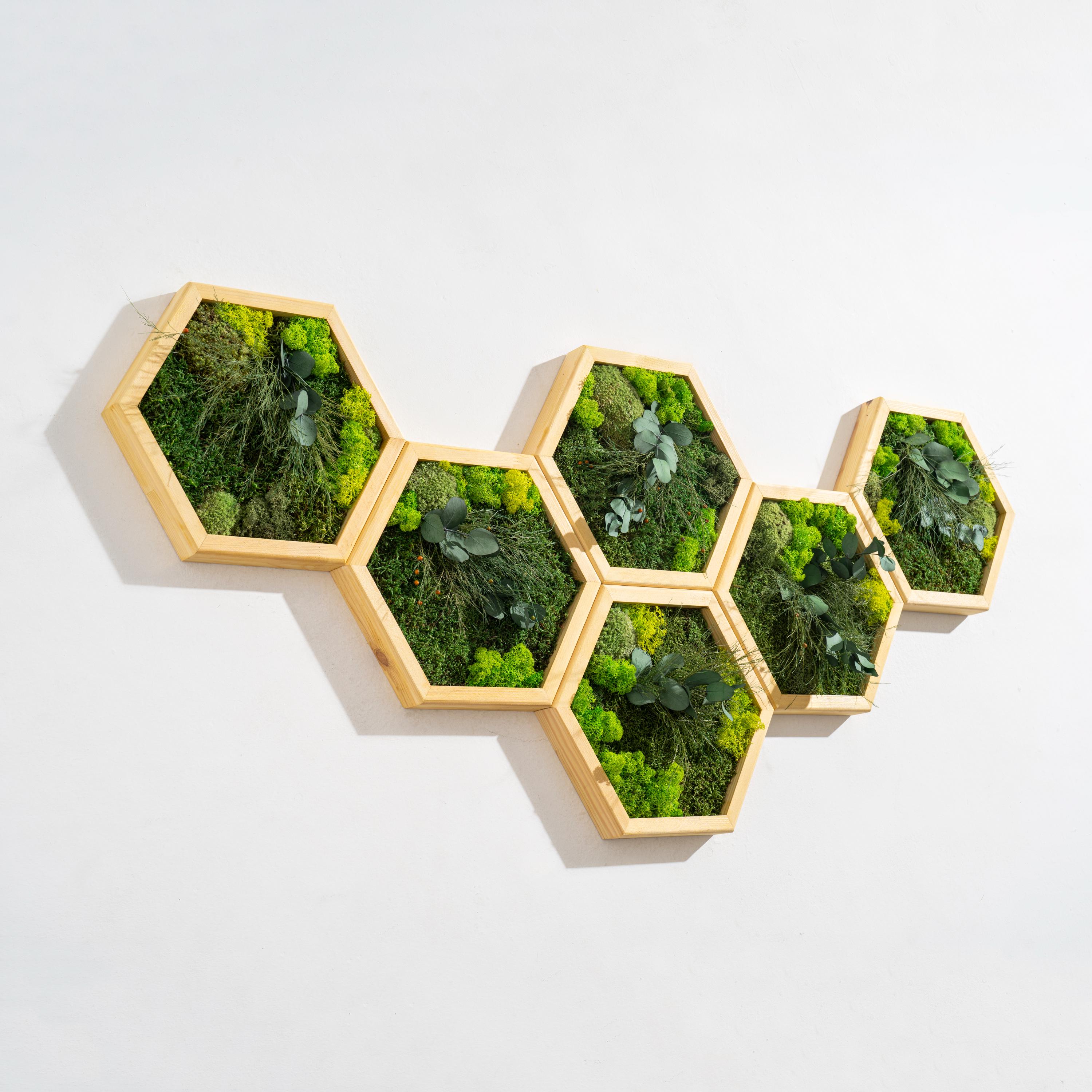 Hexagon Moss Wall Art Moss Wall Decor Preserved Moss Art Framed Moss ...