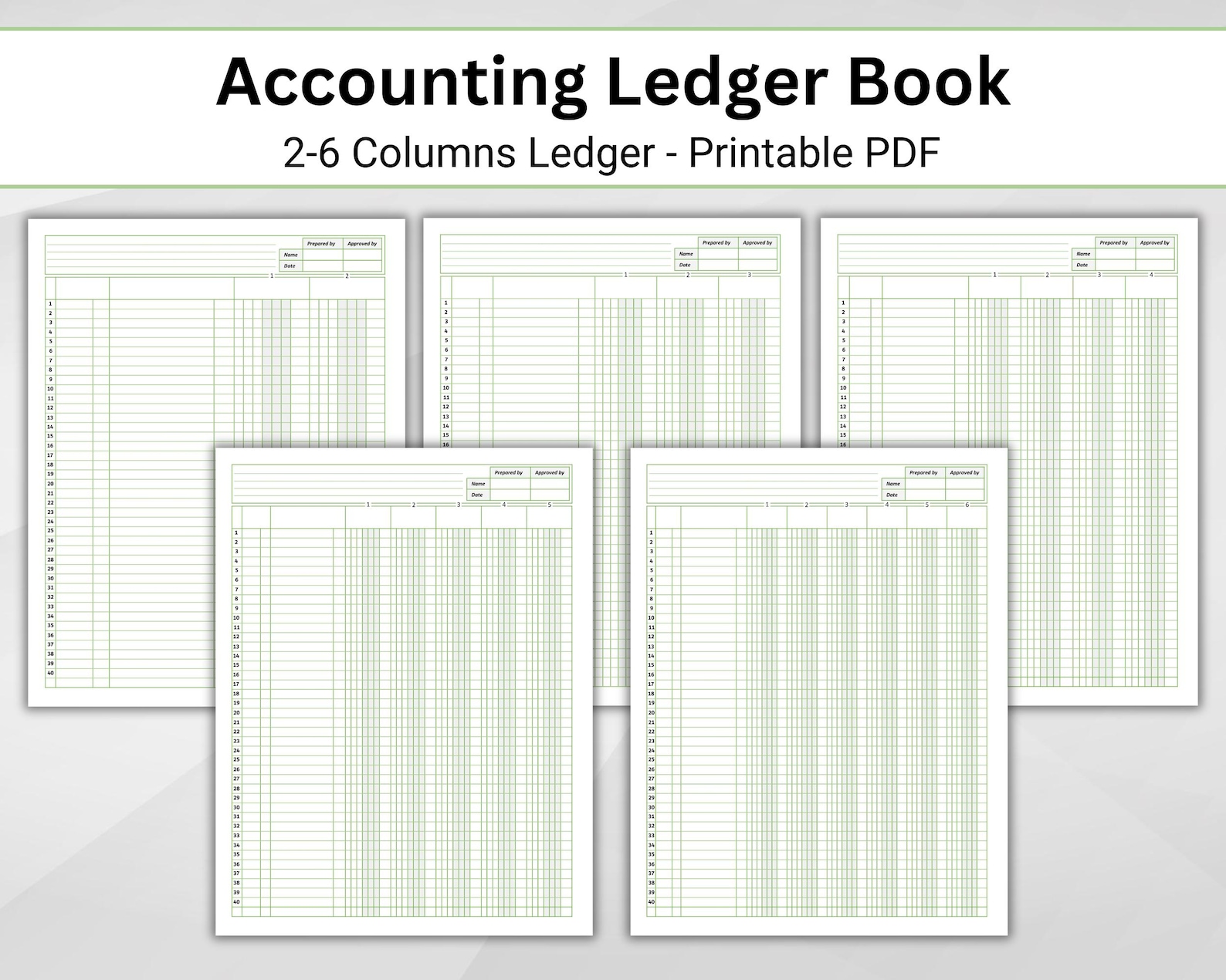 Accounting Ledger. 2-6 Columns Ledger. Columnar Paper. Digital Ledger ...