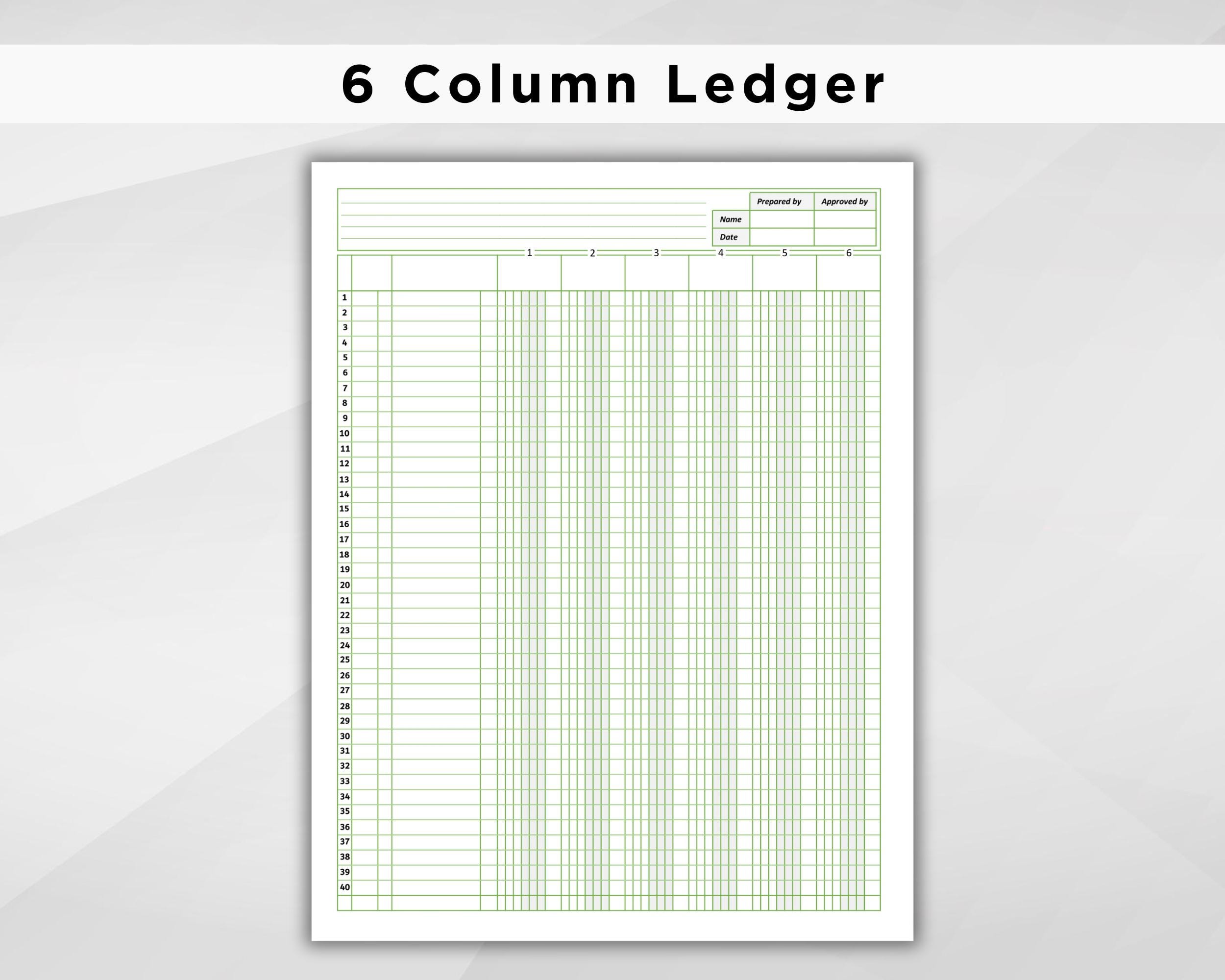 Accounting Ledger. 2-6 Columns Ledger. Columnar Paper. Digital Ledger ...