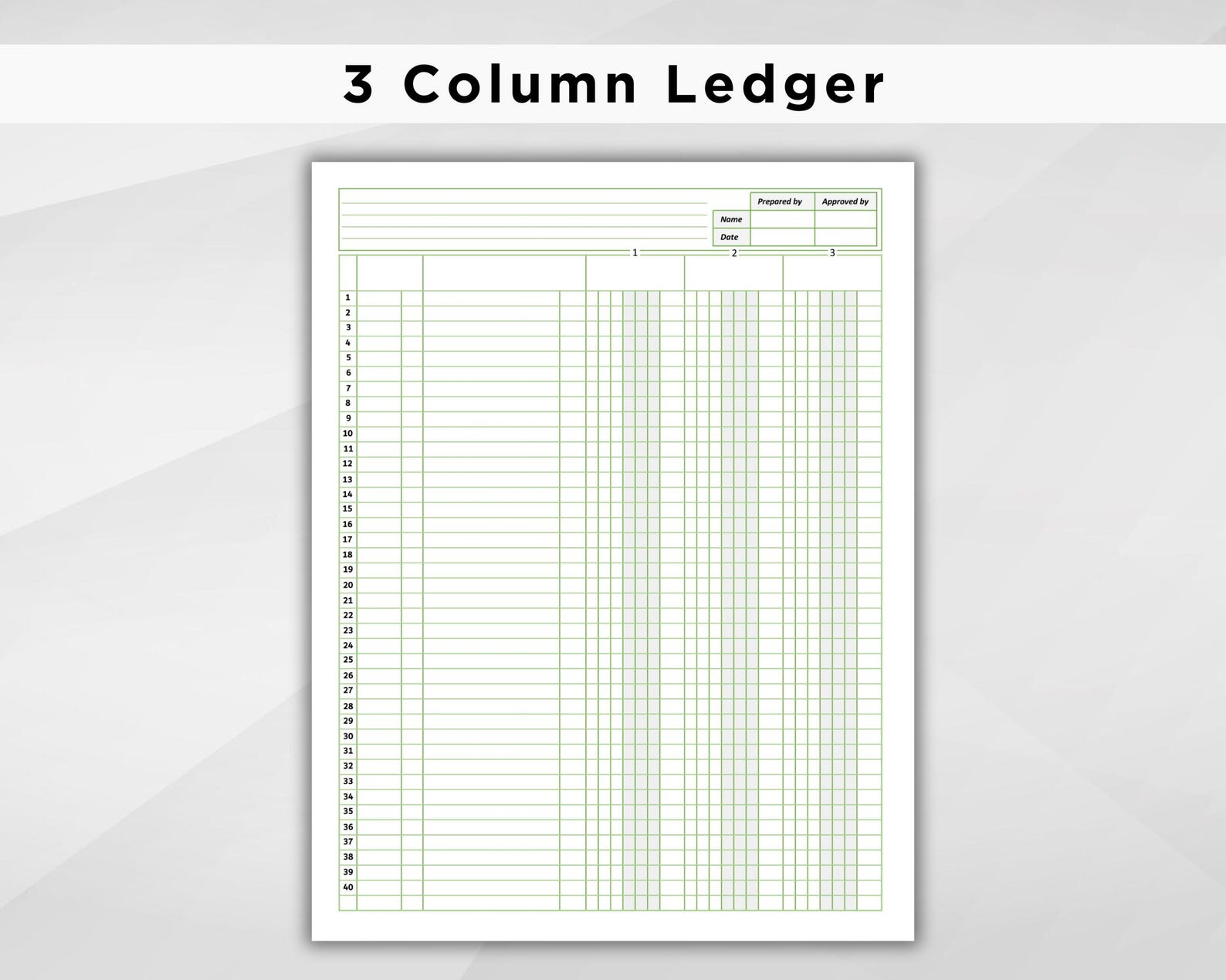 Accounting Ledger. 2-6 Columns Ledger. Columnar Paper. Digital Ledger ...